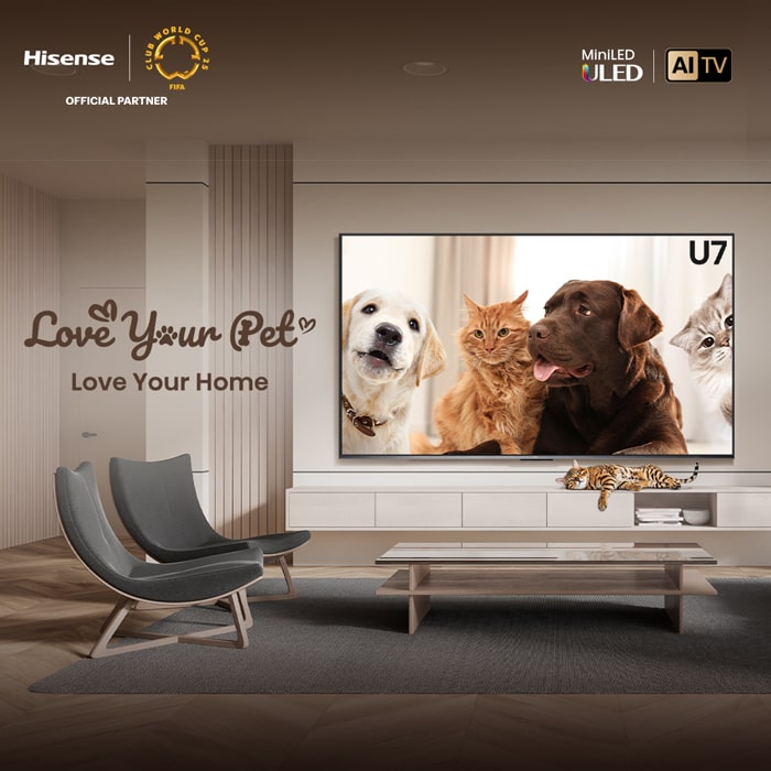 Hisense – Euro2024 | TV | Refrigerator| Air Conditioner | Washing Machine